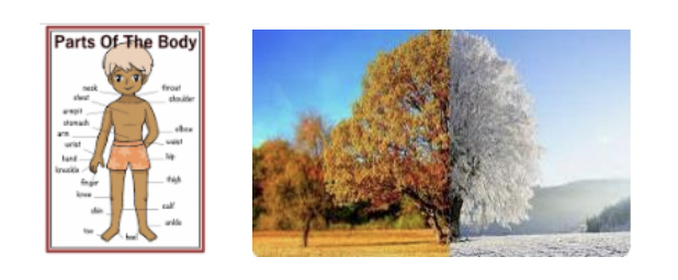 Widnes Academy - Year 1